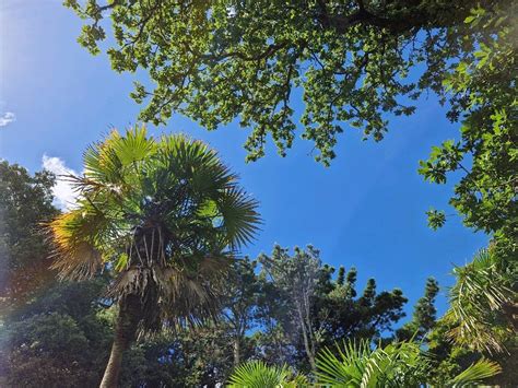 Steven Michell On Linkedin Summer Cornwall Pr Marketing Socialmedia 10 Comments