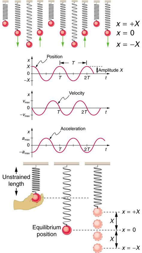 163 Simple Harmonic Motion A Special Periodic Motion College