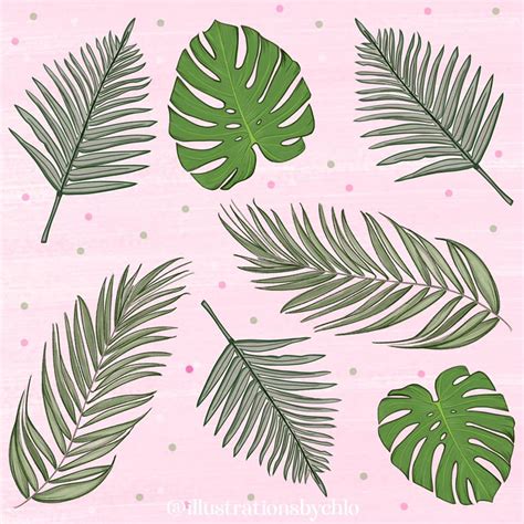 Illustrations By Chloe