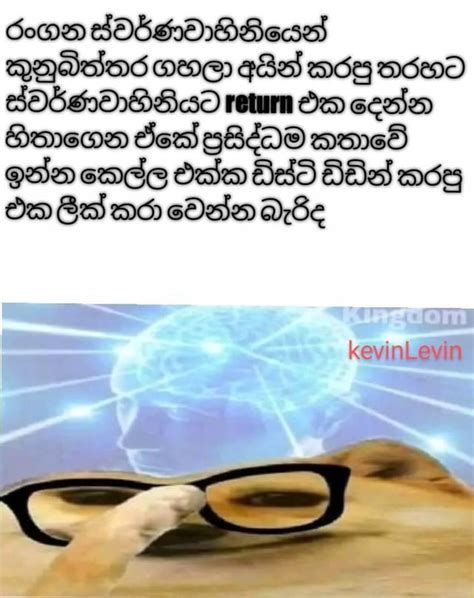 Big Brain 🧠 R Tkasylum