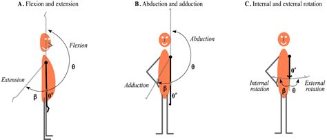 Flexion Extension Abduction Adduction Rotation Circumduction At