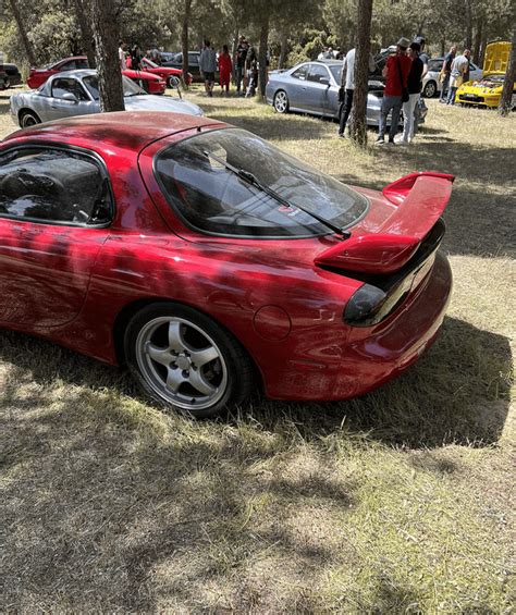 Beautiful Fd I Got To See Yesterday Along With Some Other Goodies You