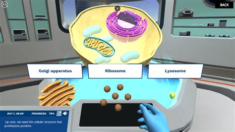 Cell Structure Cell Theory And Internal Organelles Labster Virtual Labs