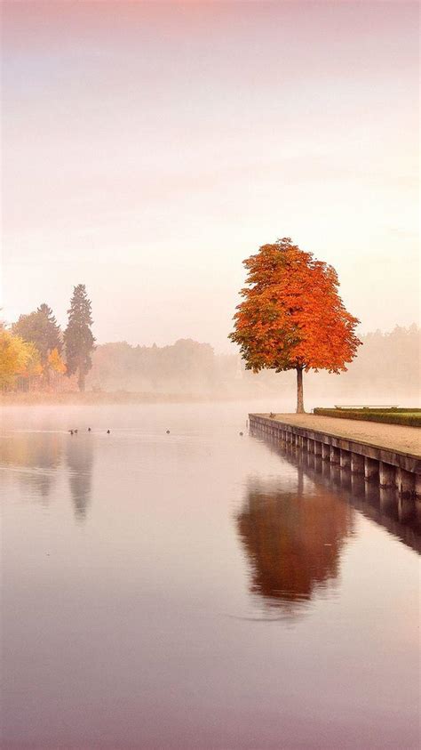 Calm Autumn Wallpapers Top Free Calm Autumn Backgrounds Wallpaperaccess