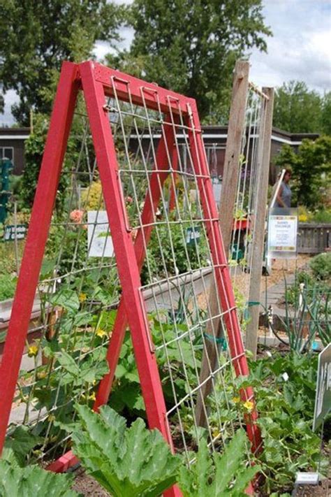 21 Easy Diy Garden Trellis Ideas Vertical Growing Structures A