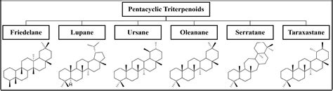 Neuroprotective Prospectives Of Triterpenoids