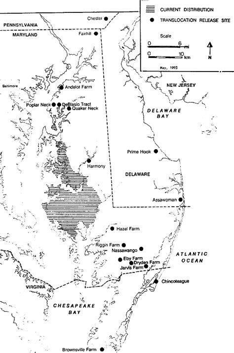 Delmarva Fox Squirrel Distribution Map Delmarva Fox Squirrel Distribution Map