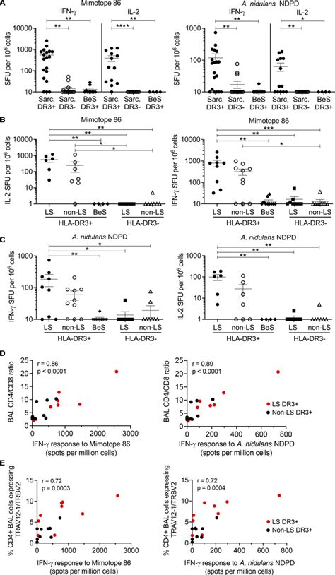 Mimotope 86 And A Nidulans Ndpd Peptides Stimulate Sarcoidosis Bal