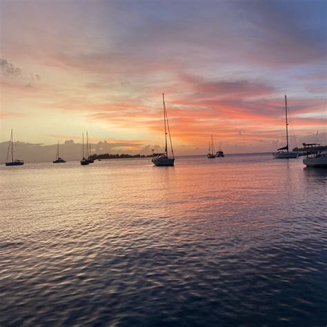 Bora Bora Yacht Club 10 Tips From 220 Visitors
