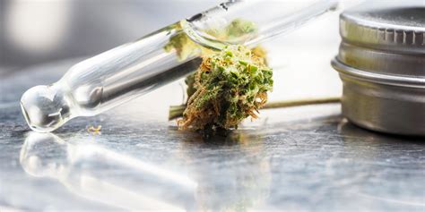 The Art Of Terpene Extraction Techniques And Technologies Terpene Lab