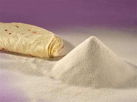 Encapsulated Citric Acid E330 20 Kg Eskamarket