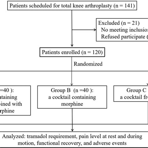 Flowchart Showing The Constitution Of The Cohort Download Scientific