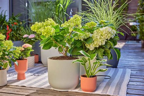 Gardena Micro Drip System Tropfbewässerung Set Terrasse 30 Pflanzen