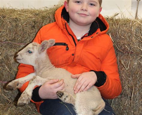 Families Flock To Reaseheath Lambing Weekends Reaseheath College