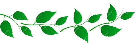 Premium Vector Pattern Green Leaves Natural Branches Isolated On White Background Design Set