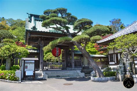 Que Faire à Kamakura 10 Incontournables À Visiter Absolument Blog