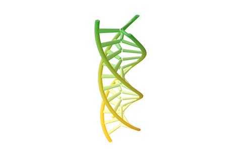 Triple Helix Dna V1 008 3d Model Cgtrader