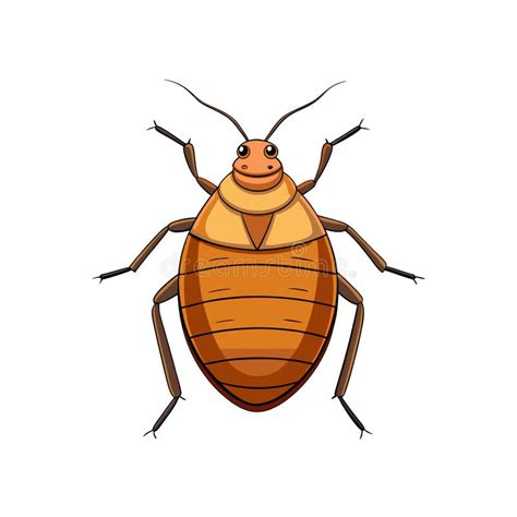 Cartoon Brown Bed Bug Isolated On A White Background Stock Illustration