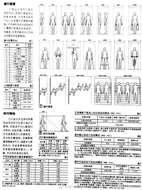 超详细的人体尺度数据，值得收藏！