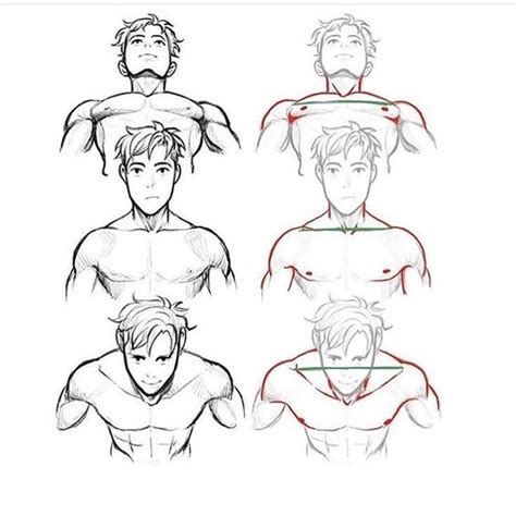 Тру Художник Запись со стены Anatomy Art Anatomy Sketches Art