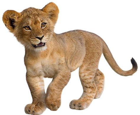 Ndugu Hero Fanon Wiki Fandom