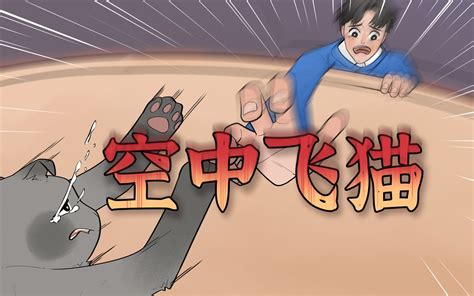 猫：那一天，他让我站上32楼的空中花盆 喵掌柜老李 喵掌柜老李 哔哩哔哩视频