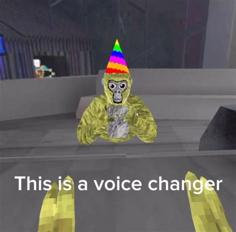 Im A New Gorilla Tag Creator Really Funny Memes Gorilla Funny Memes