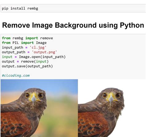 Python Coding On Linkedin 120 Remove Image Background Using Python Dk8acbjr