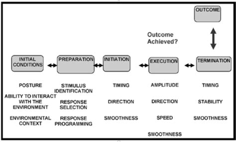 Functional Mobility Does Not Include Descriptions For Transfers See
