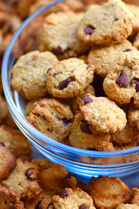 Healthy Protein Mini Cookie Cereal Wholesome Lee