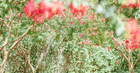 공원 바구니 소풍 수직 쐈어 실외 앉아 있는 여자 함께에 관한 무료 스톡 사진