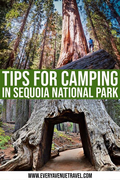 Sequoia National Park Camping Made Easy ⋆ Every Avenue Travel Sequoia
