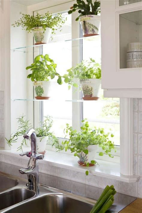 Kitchen Window Herb Garden Ideas At Gabrielle Sutherland Blog