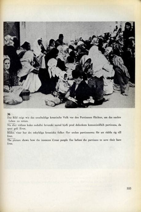 Slavko Grubišić Jedan Dio Krvave Povijesti