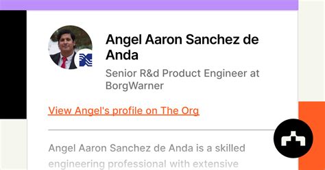 Angel Aaron Sanchez De Anda Senior Randd Product Engineer At Borgwarner The Org