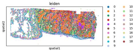 Analyze Xenium Data — Squidpy Documentation