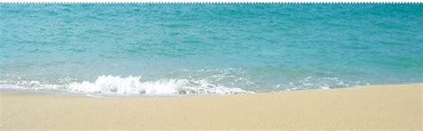 ארנה לין ושות משרד עורכות דין Israel