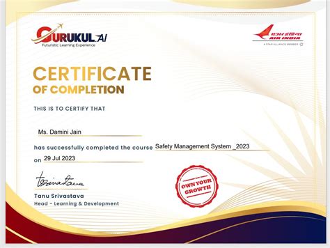 Airindia Course Smstraining Damini Jain