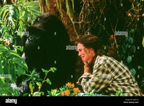 Gorillas In The Mist Universal Pictureswarner Bros Sigourney Weaver As