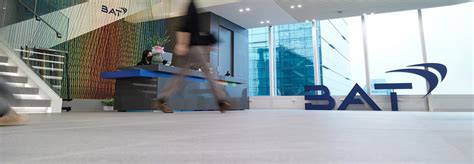 Bat Chile Acerca De Bat Chile