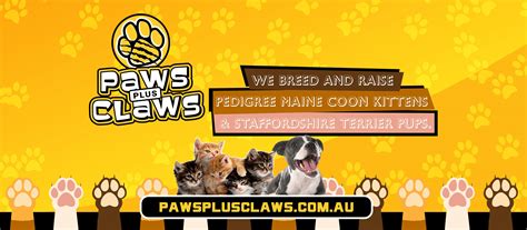 Pixie Paws Rodentry Added A New Photo Pixie Paws Rodentry