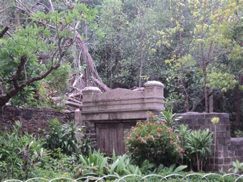 Tower Of Silence In Mumbai History And Visitor Guide