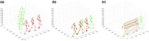 The Process Of Skeleton Data Transformation And Feature Representation