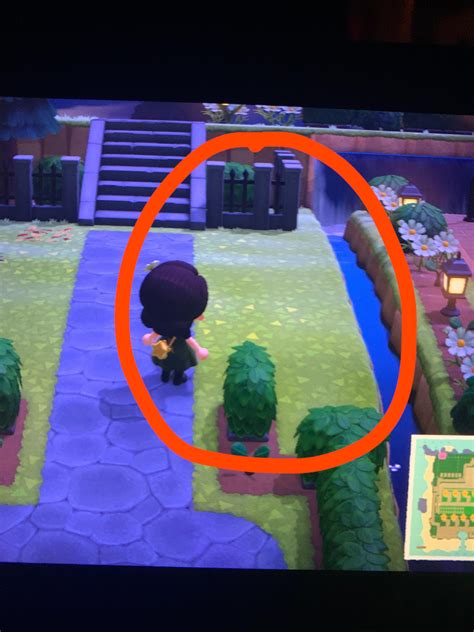 I Have No Idea Why I Cant Type Anything Any Suggestions For Fixes