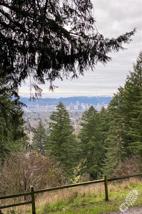 January 2021 Mt Tabor Park Hikes From Home