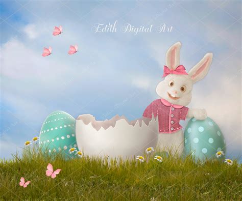 Easter Digital Backdrop Easter Rabbit Photography Background Easter Egg On Spring Field