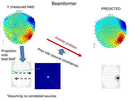 Ppt The Meeg Inverse Problem Powerpoint Presentation Free Download Id2496612