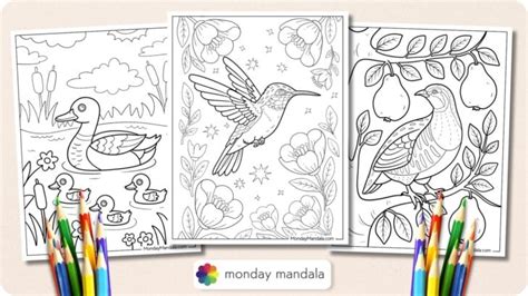 50 Bird Coloring Pages Free Pdf Printables