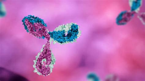 Facilitating Bispecific Antibody Drug Development Through Quality