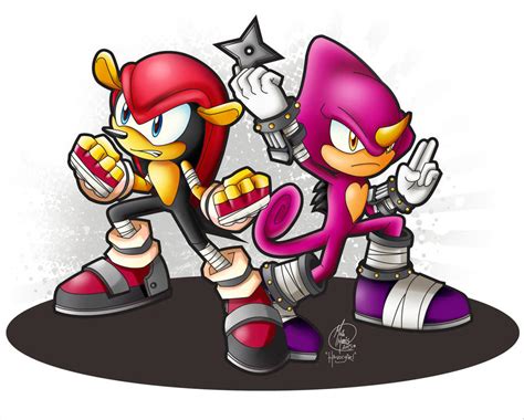 We Can Take Em Mighty And Espio In Sonic Boom By Havocgirl On Deviantart